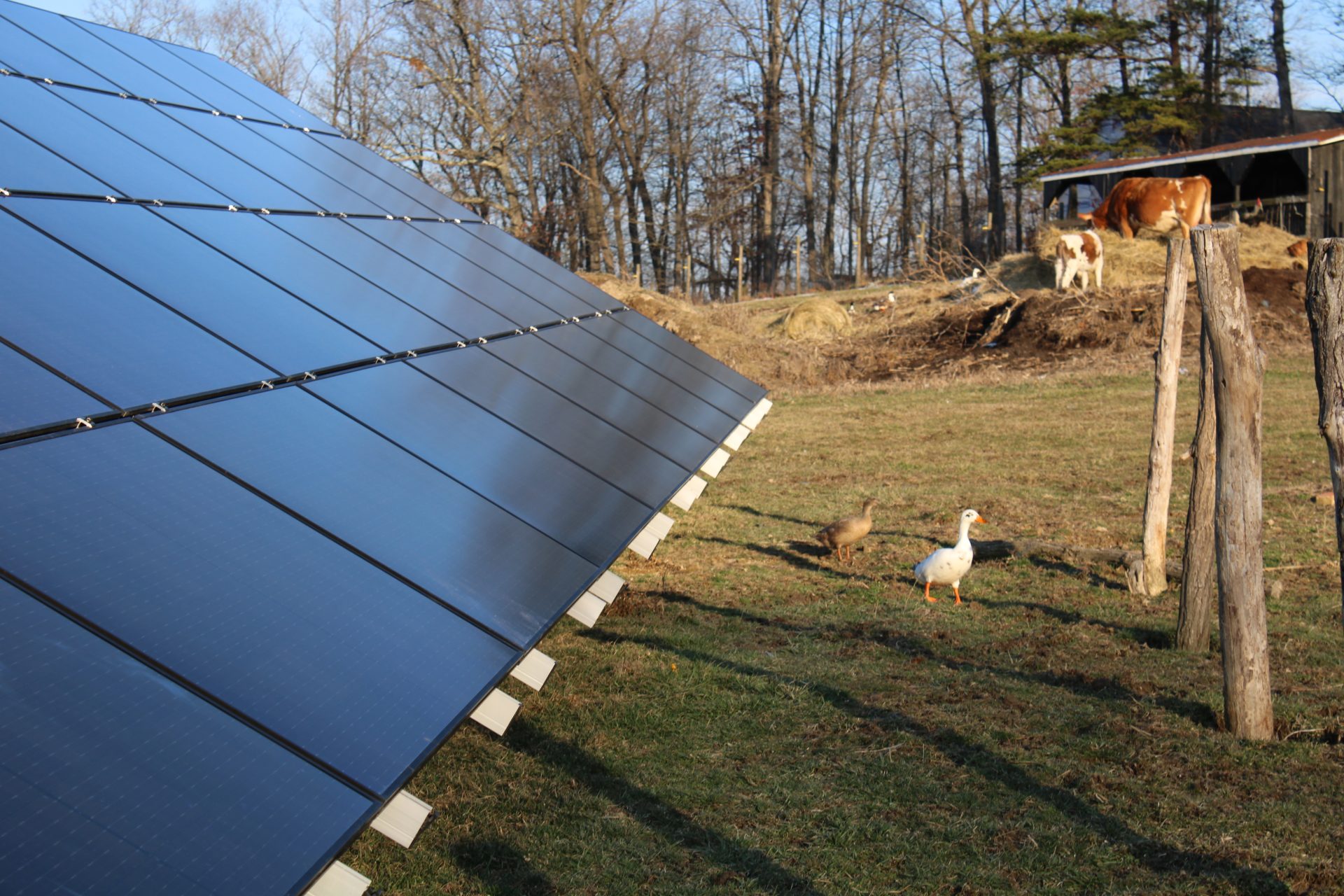 Heritage Homestead goes solar - Mountain View Solar
